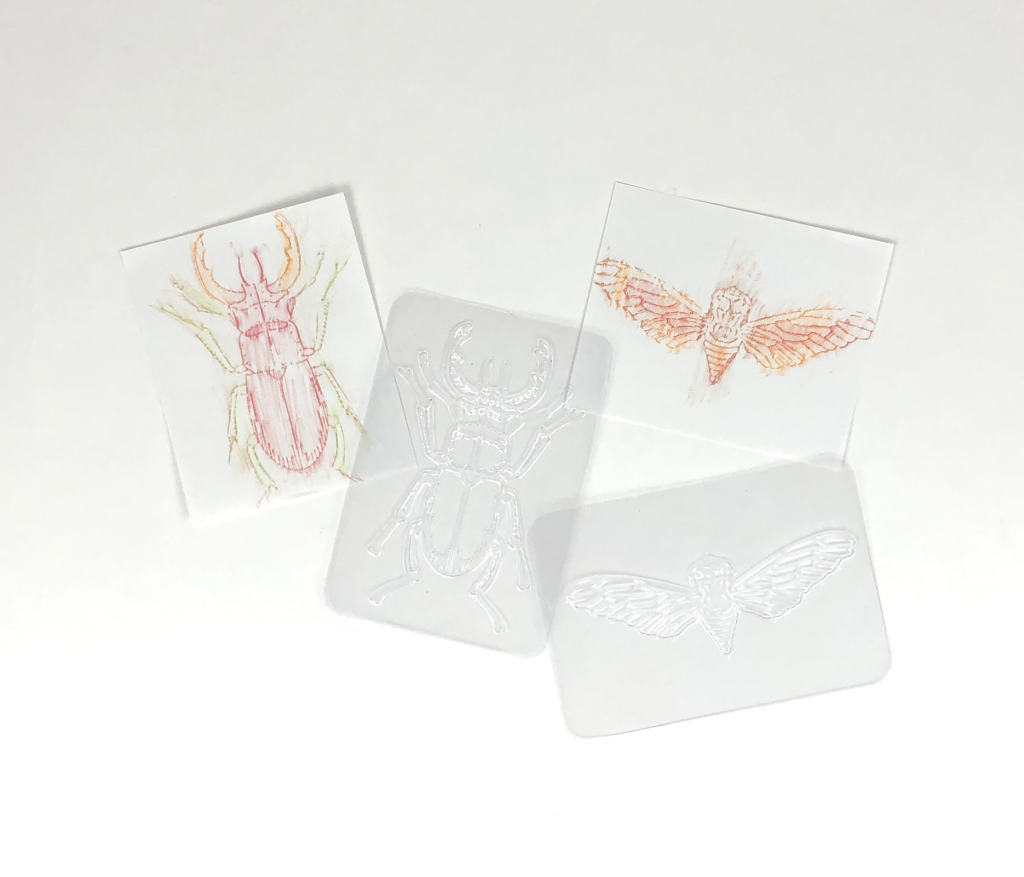 Insect Rubbing Plates - Puzzleheads Educational Products