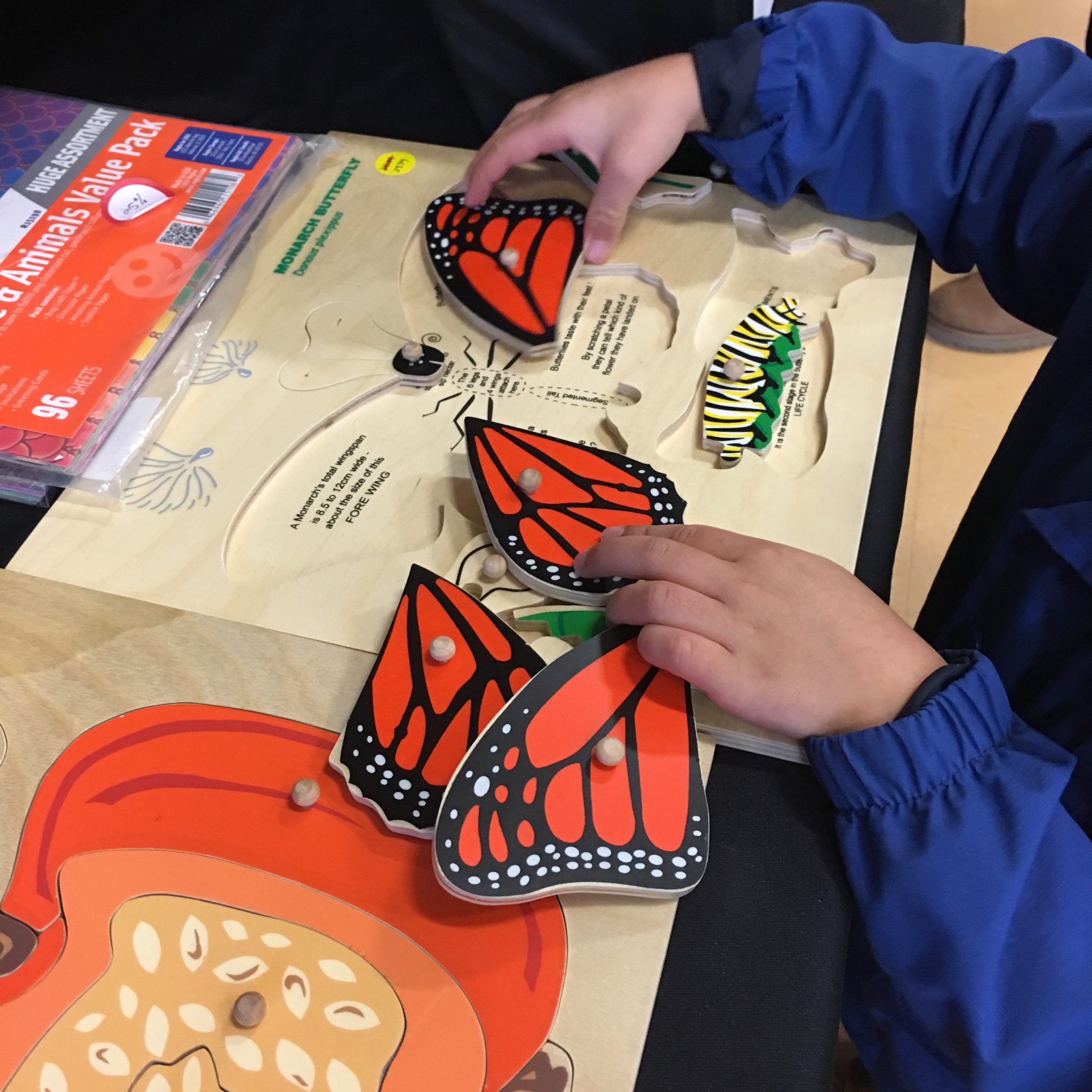 4 Ways Puzzles Exercise Your Brain - Puzzleheads Educational Products