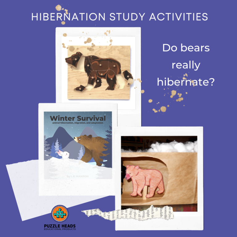 5 Fun Hibernation Study Activities - Puzzleheads Educational Products