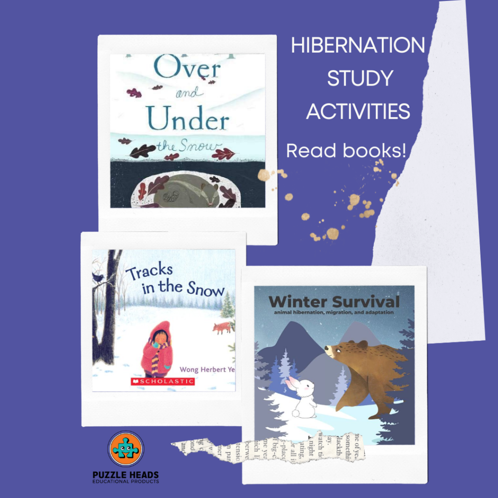 5 Fun Hibernation Study Activities - Puzzleheads Educational Products