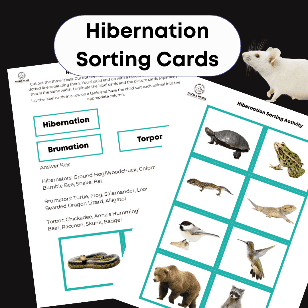 hibernation sorting cards - Puzzleheads Educational Products