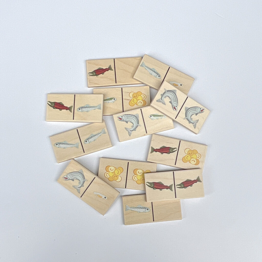 Salmon Run Dominoes Game - Puzzleheads Educational Products